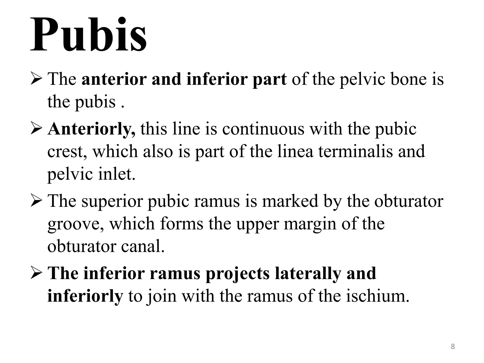 REproductive system anat.pptx
