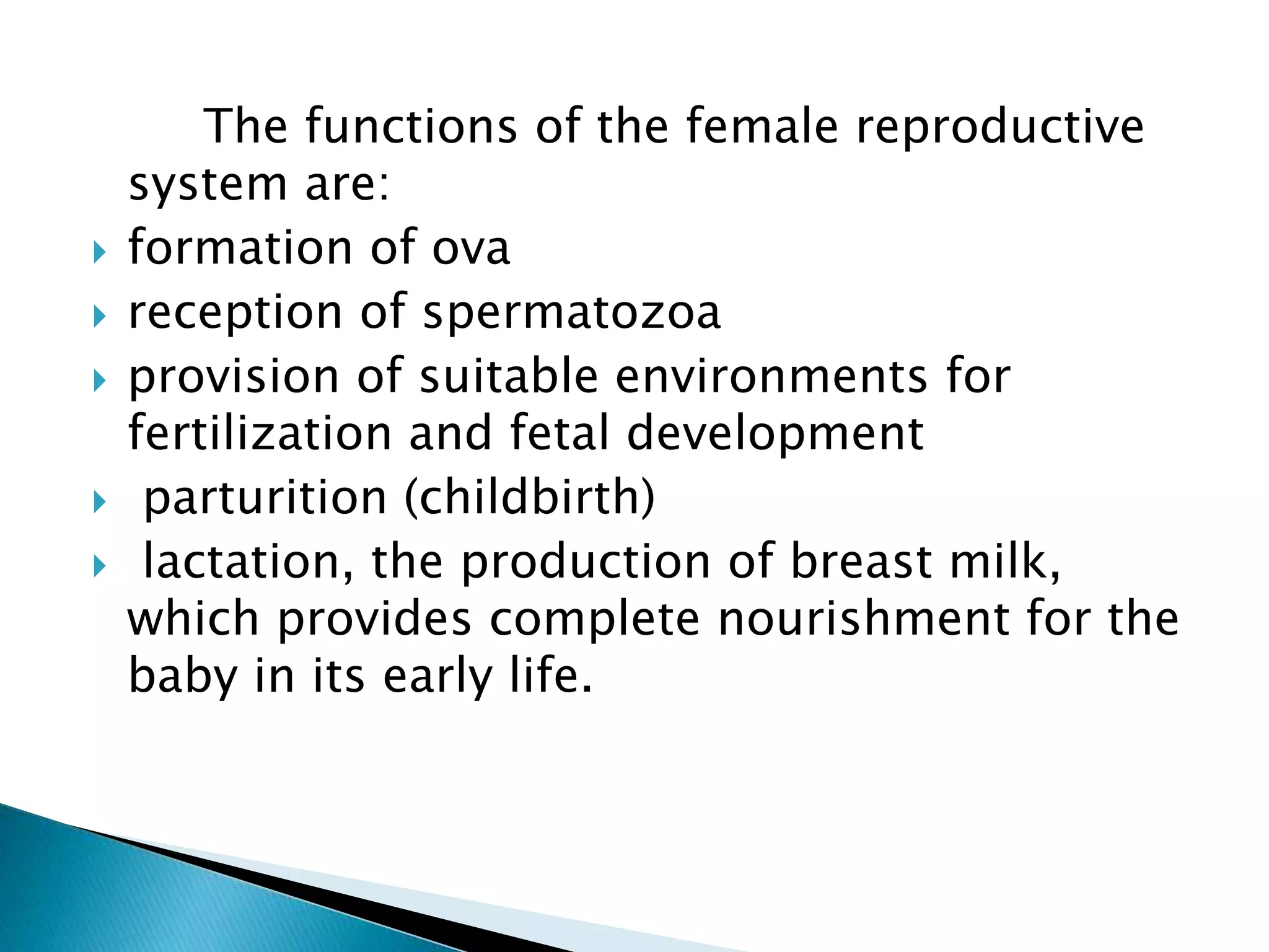 reproductive system anatomy.pptx