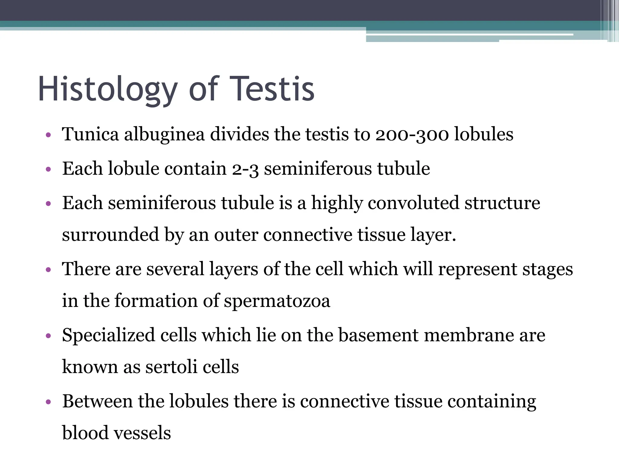 REPRODUCTIVE SYSTEM anatomyyyyyyyyyyyyyyyyy | PPTX