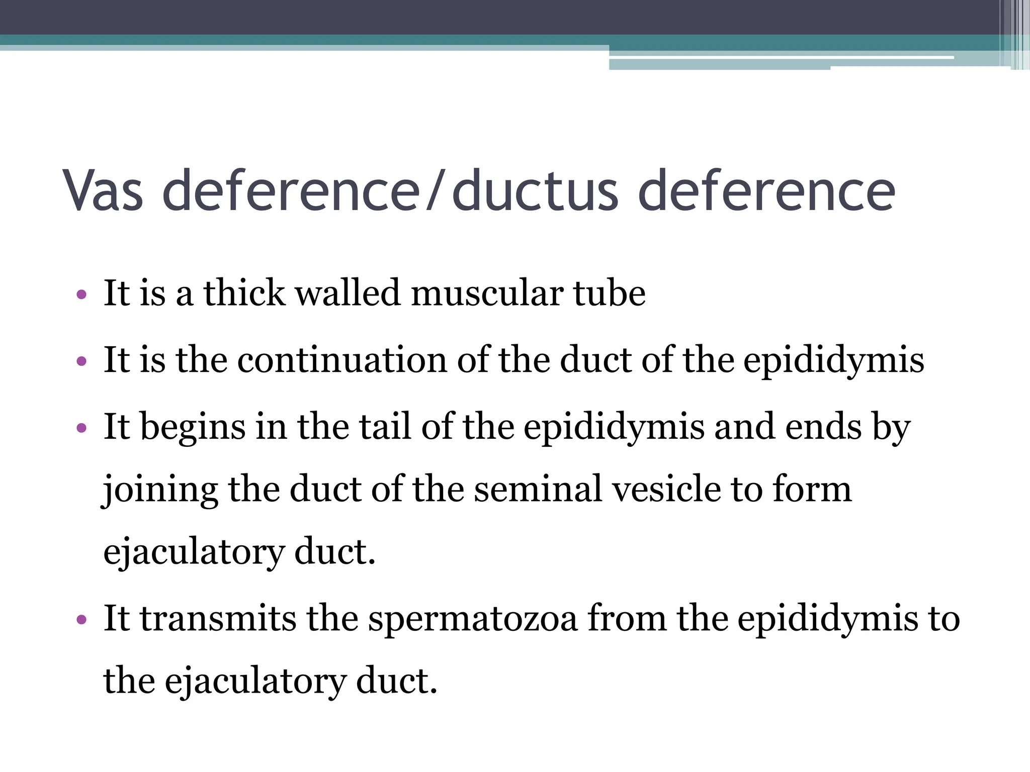 REPRODUCTIVE SYSTEM anatomyyyyyyyyyyyyyyyyy | PPTX