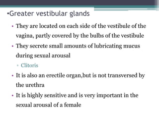 REPRODUCTIVE SYSTEM anatomyyyyyyyyyyyyyyyyy | PPTX