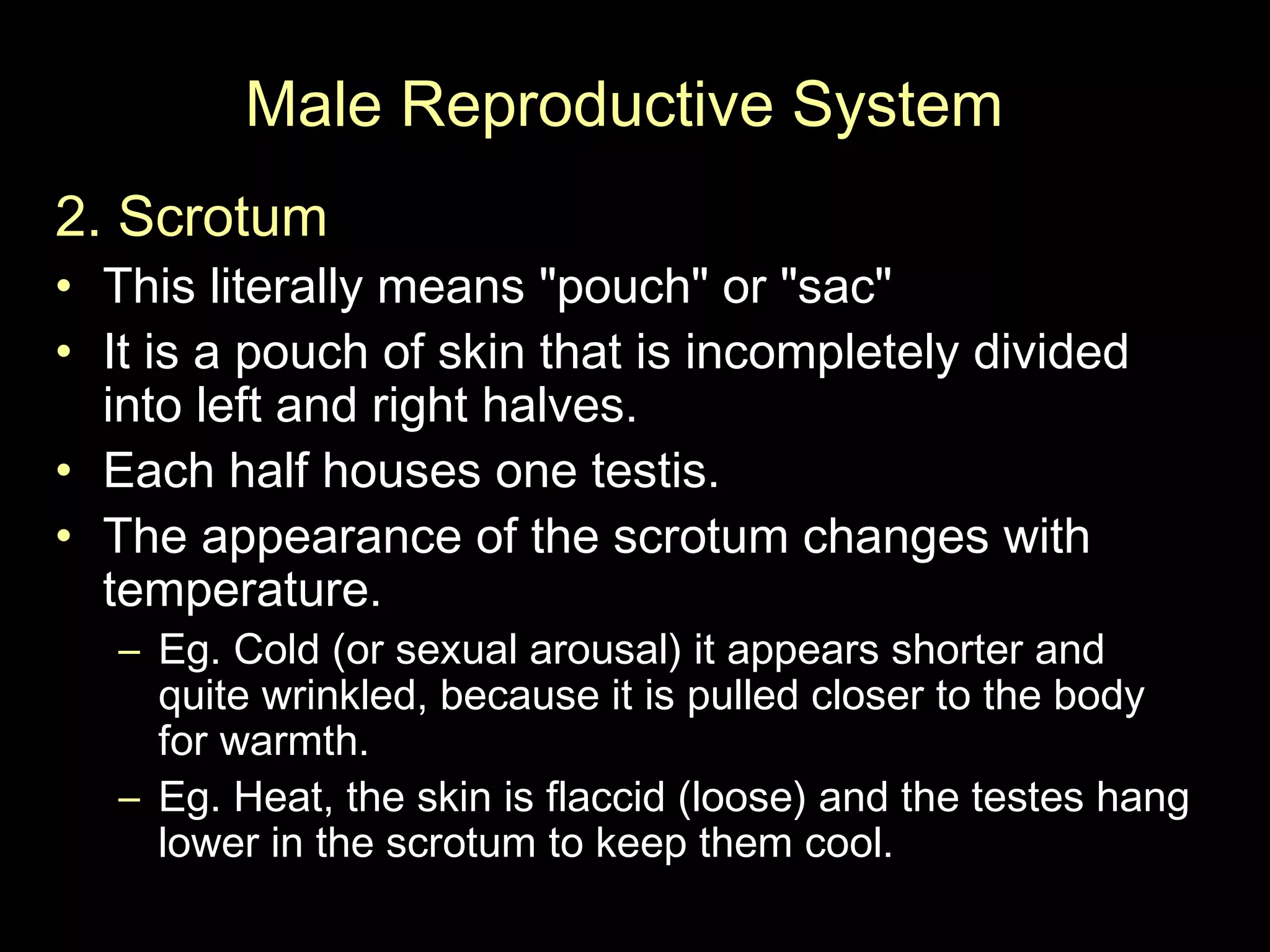 Reproductive system by Tlali | PPT