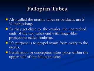 Reproductive System Ch 10 | PPT