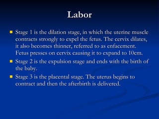 Reproductive System Ch 10 | PPT