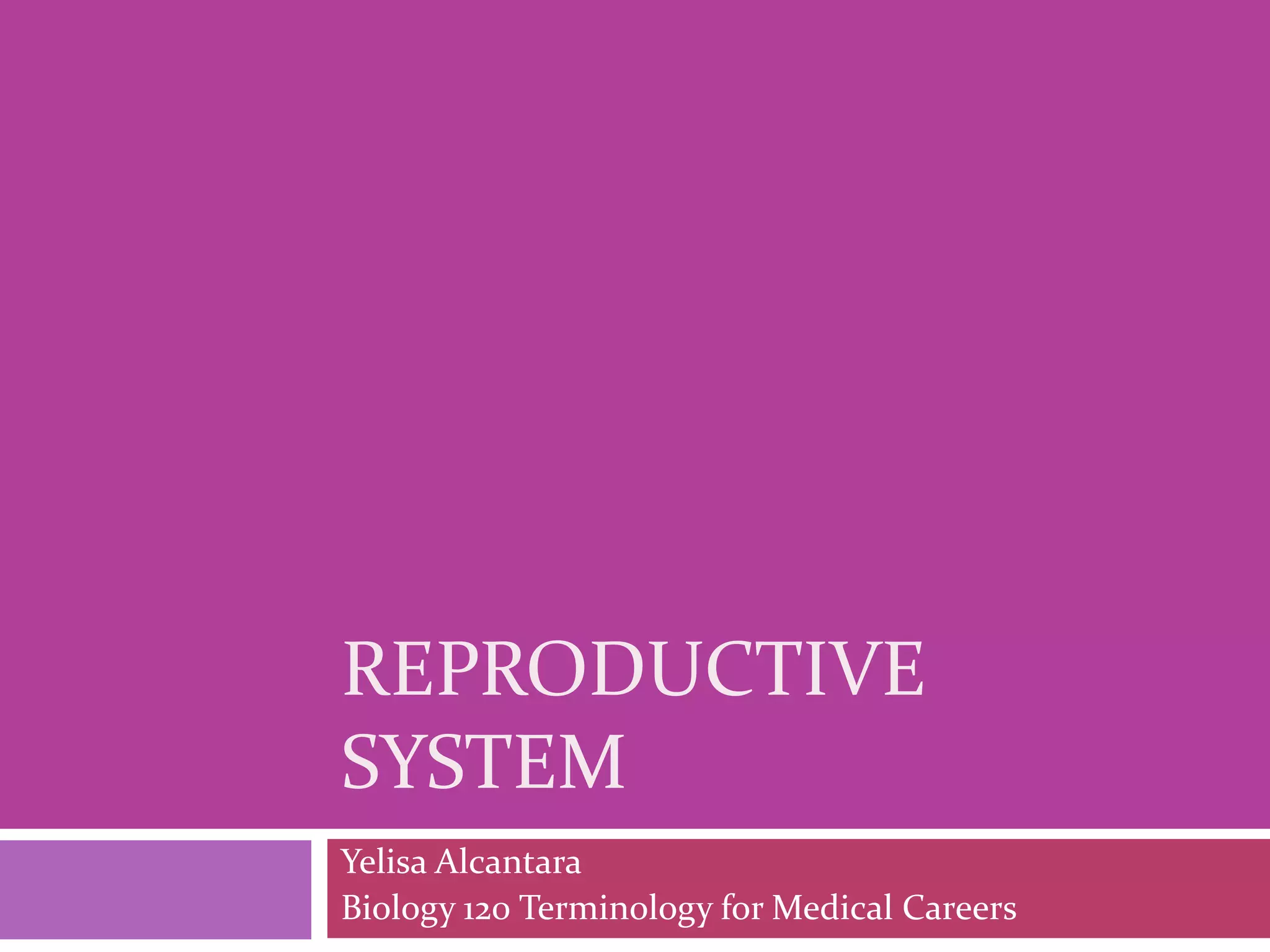 Reproductive system chap 10 | PPTX | Pregnancy | Reproductive Health