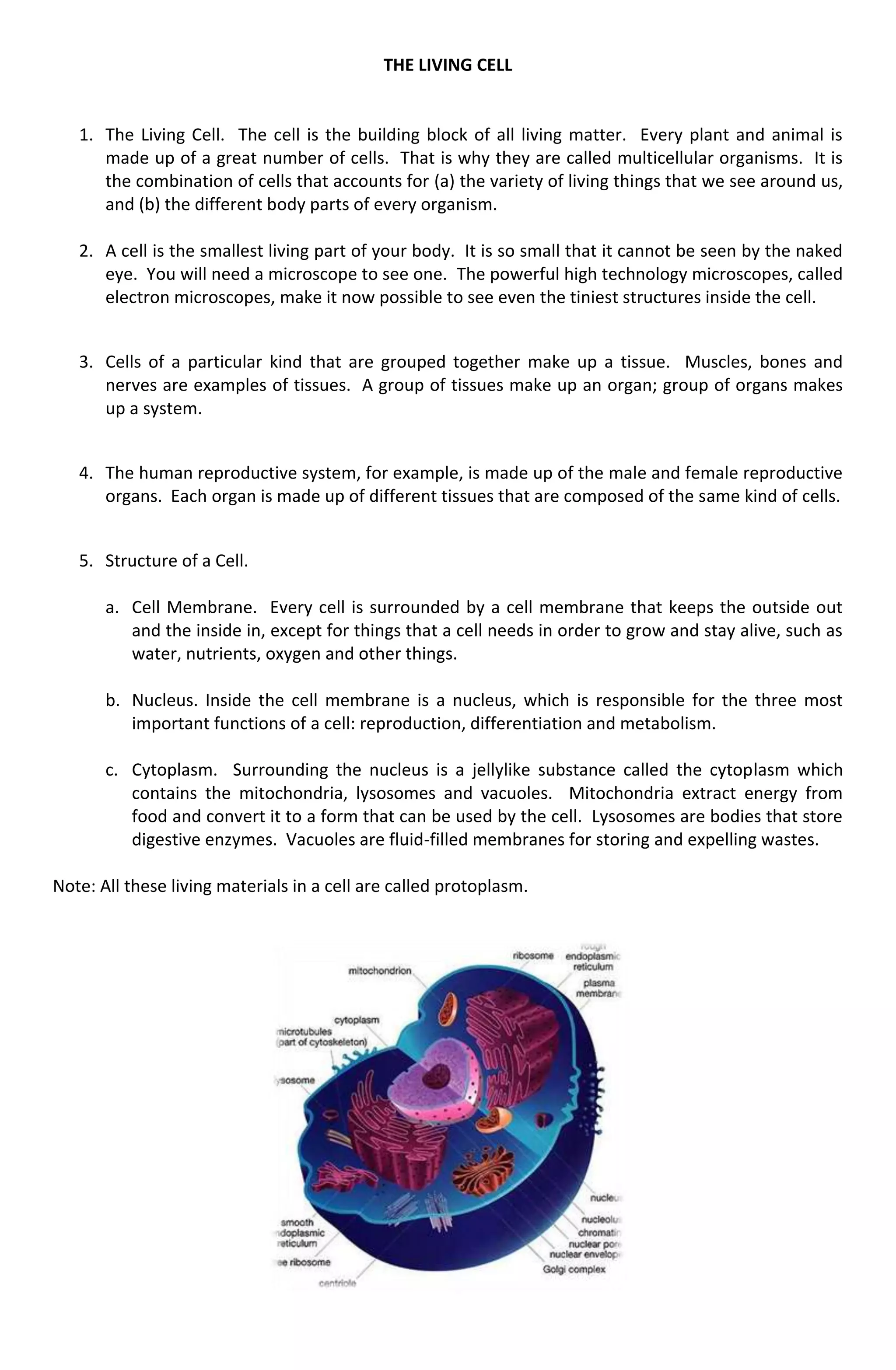 Reproductive system (chart)01 | DOCX