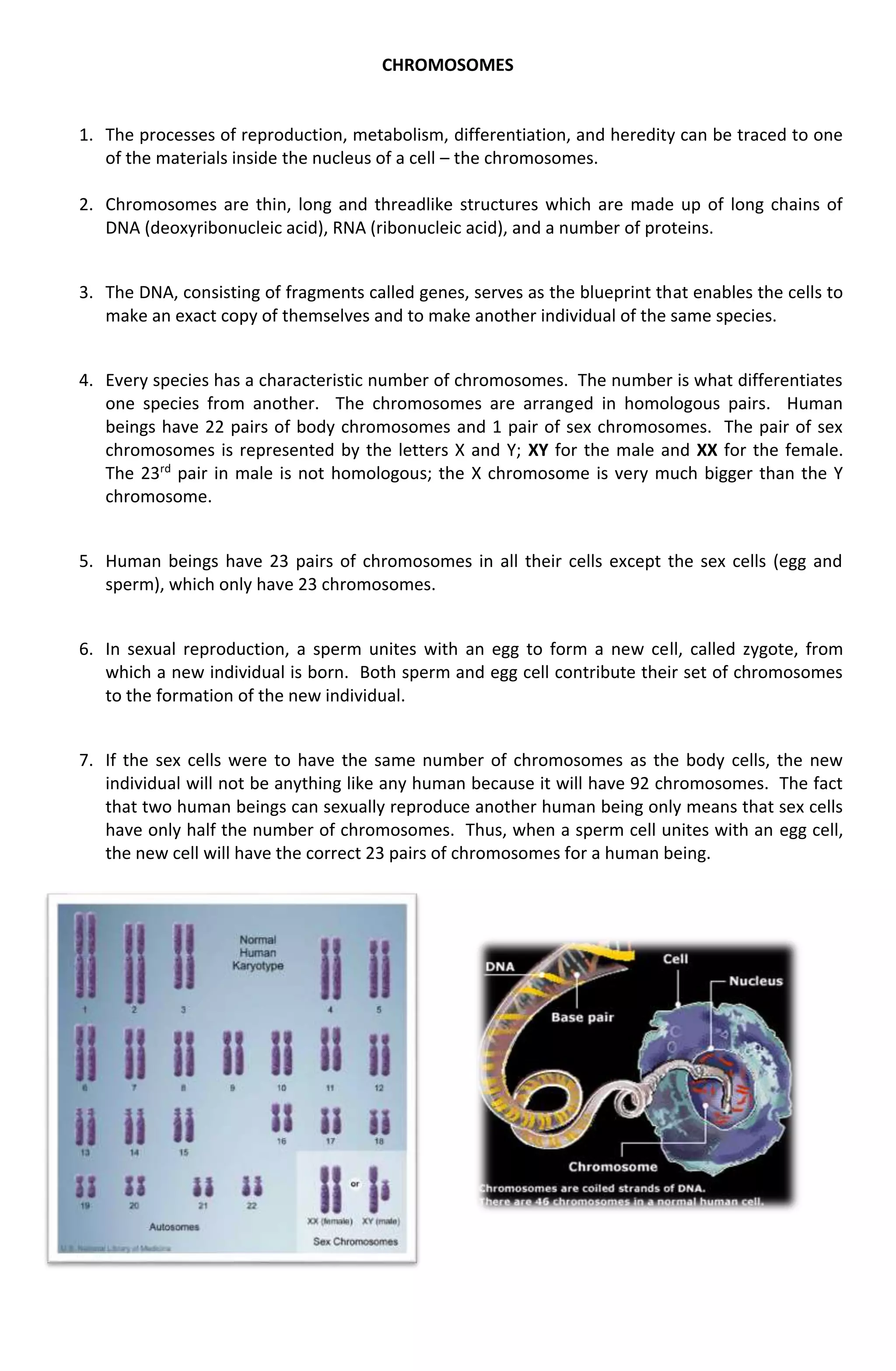 Reproductive system (chart)01 | DOCX