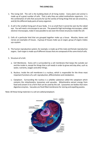 Reproductive system (chart)01 | DOCX