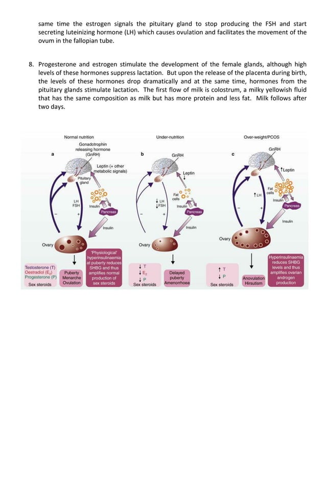 Reproductive system (chart)01 | DOCX