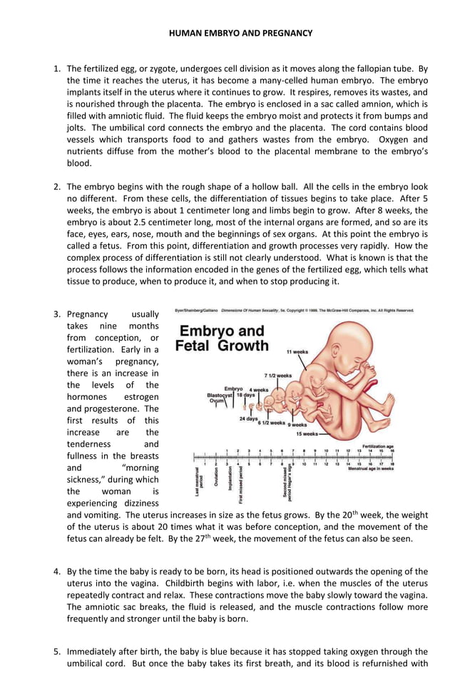 Reproductive system (chart)01 | DOCX