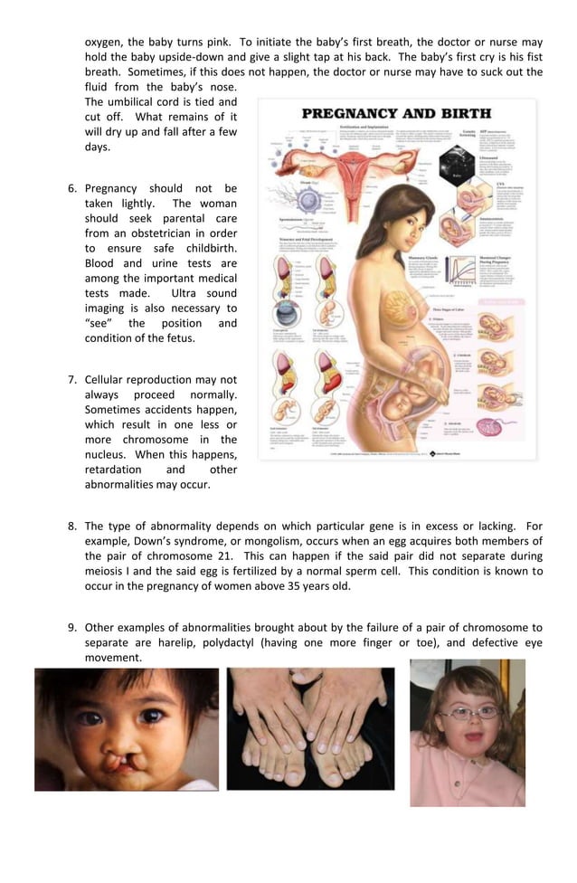 Reproductive system (chart)01 | DOCX