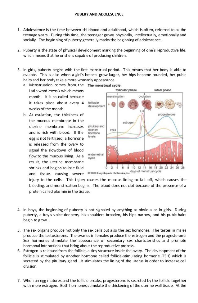 Reproductive system (chart)01