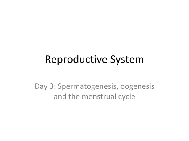 Reproductive system day3 | PPT