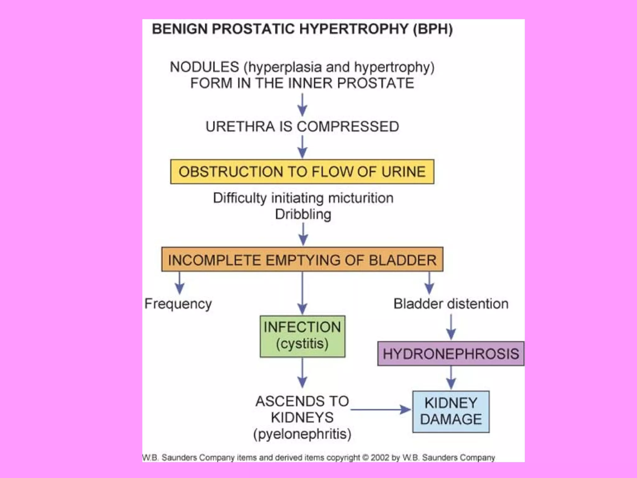 Reproductive System Disorders | PPT