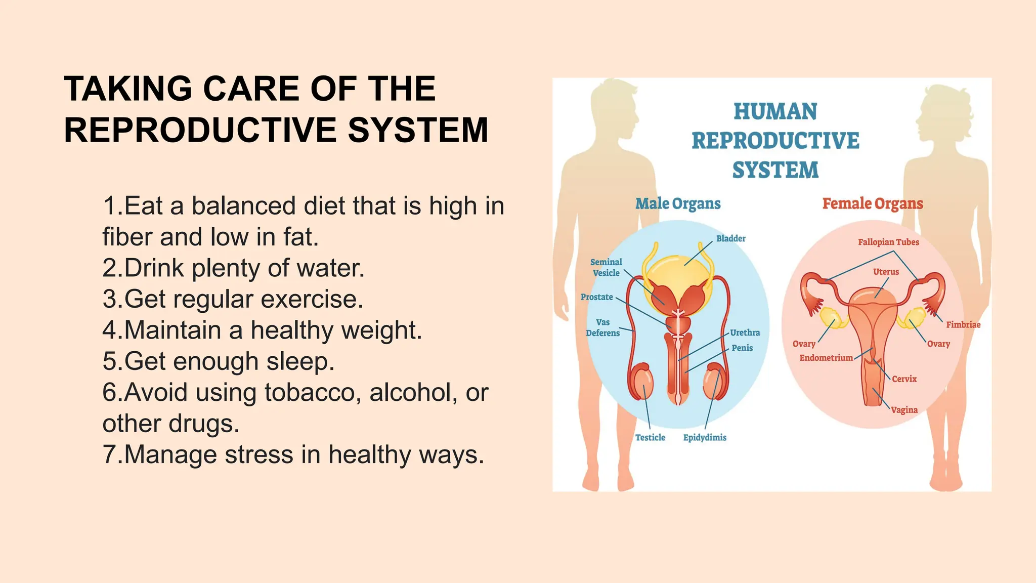 Reproductive System: Functions and Disorders.pptx