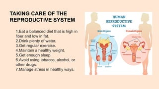 Reproductive System: Functions and Disorders.pptx