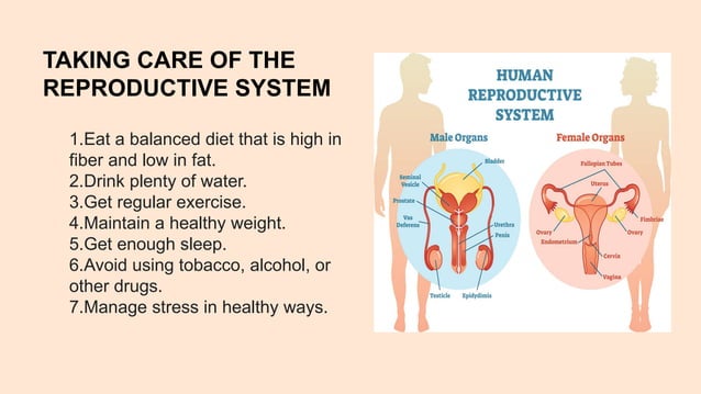 Reproductive System: Functions and Disorders.pptx