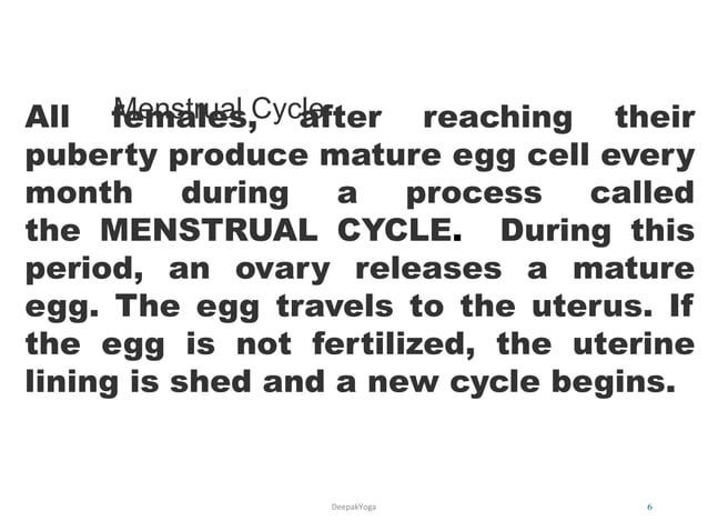 Reproductive System Ppt