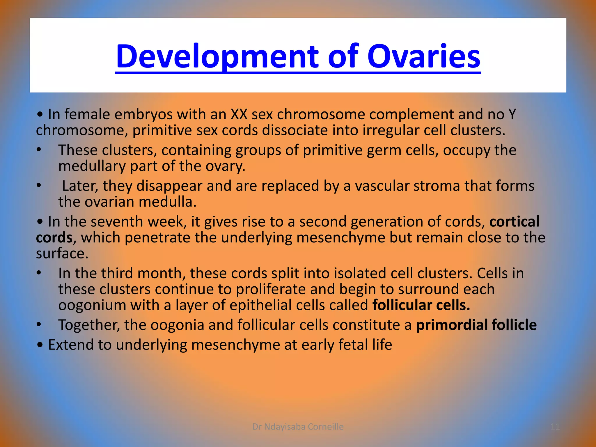 Reproductive System Embryology.pptx