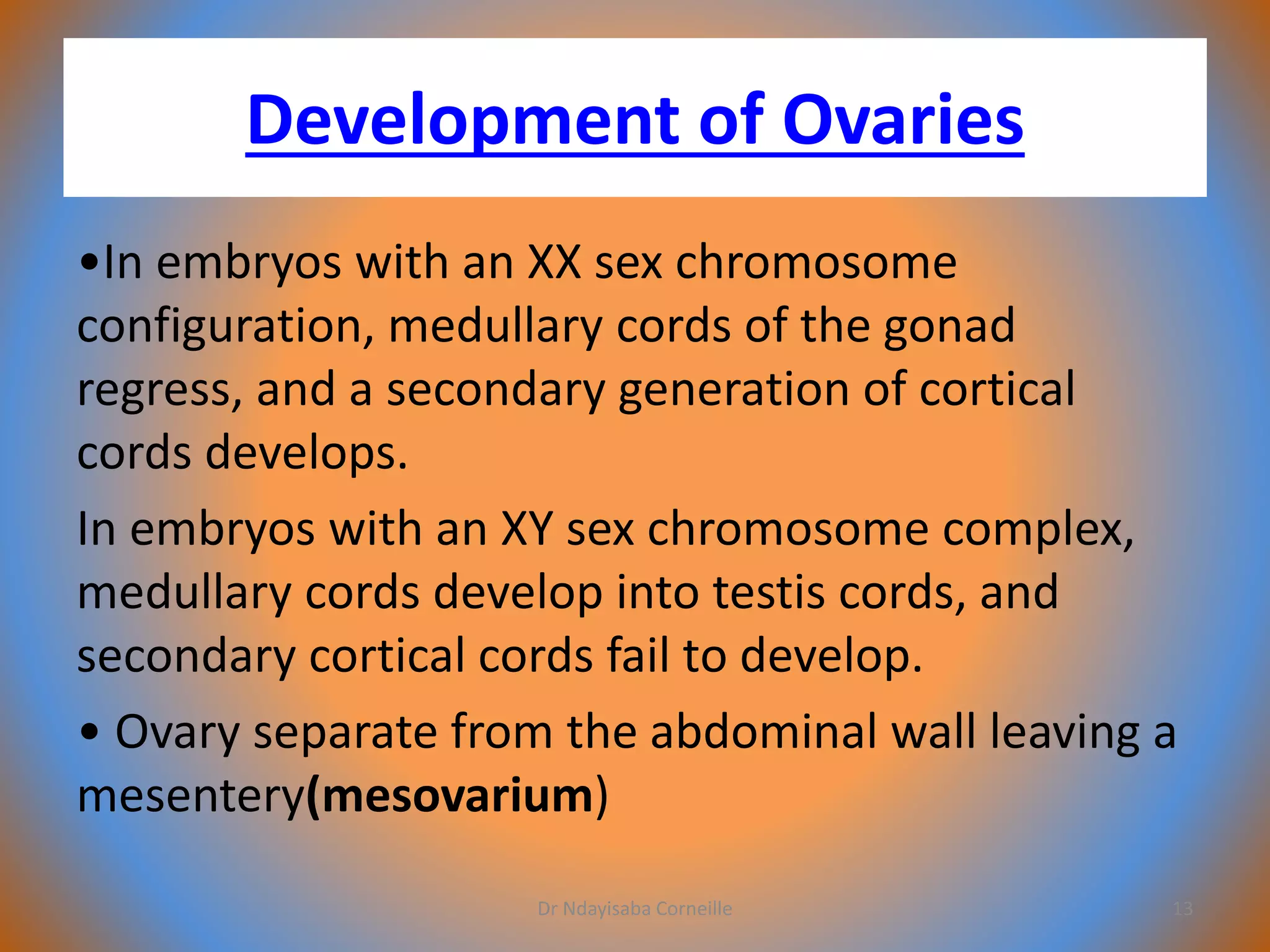 Reproductive System Embryology.pptx