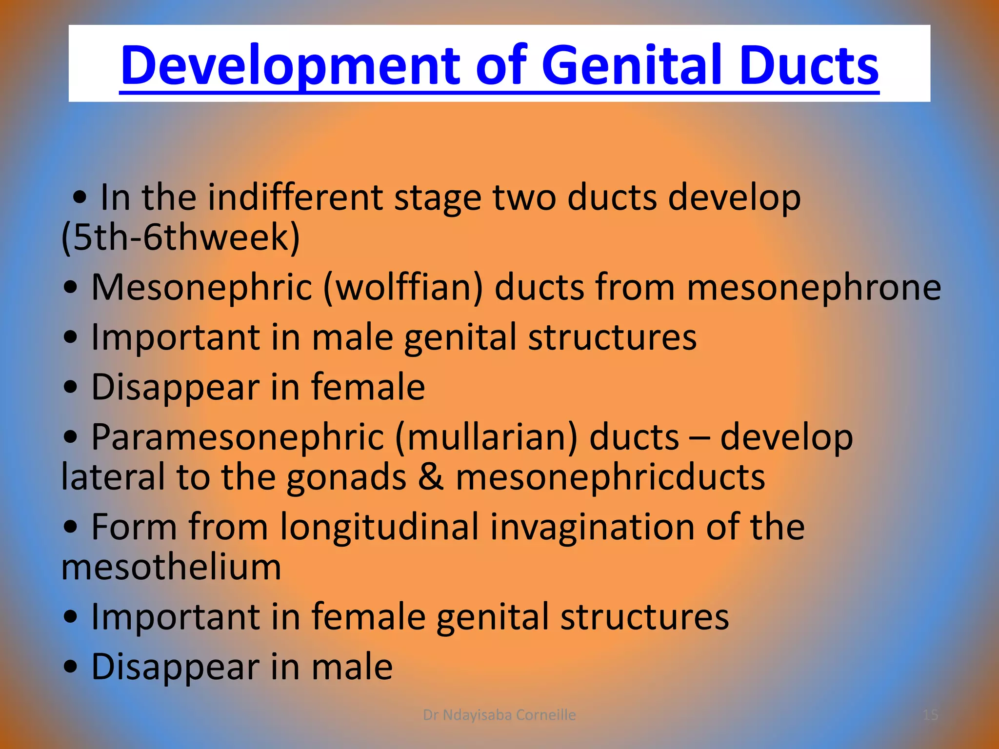 Reproductive System Embryology.pptx
