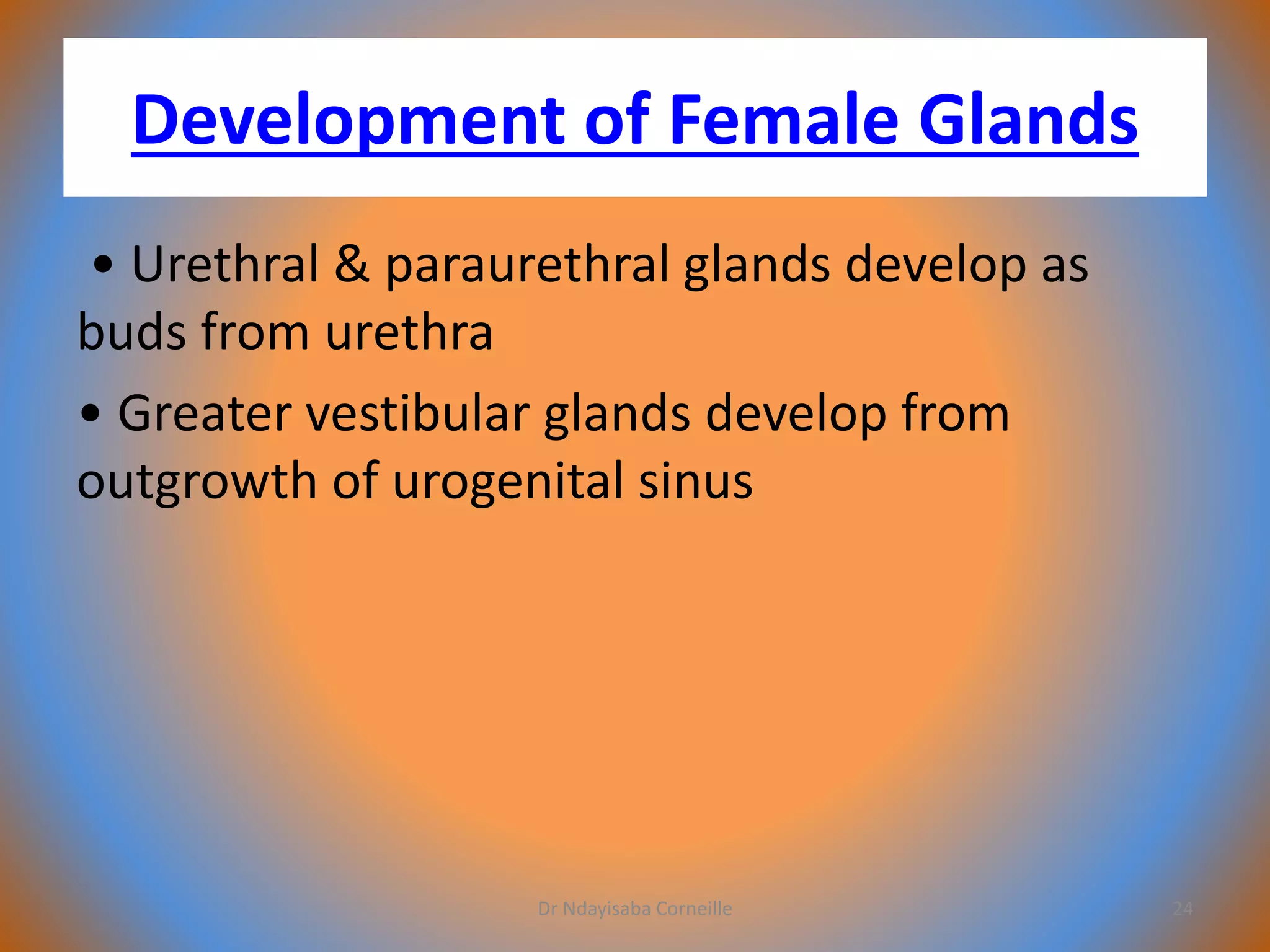 Reproductive System Embryology.pptx