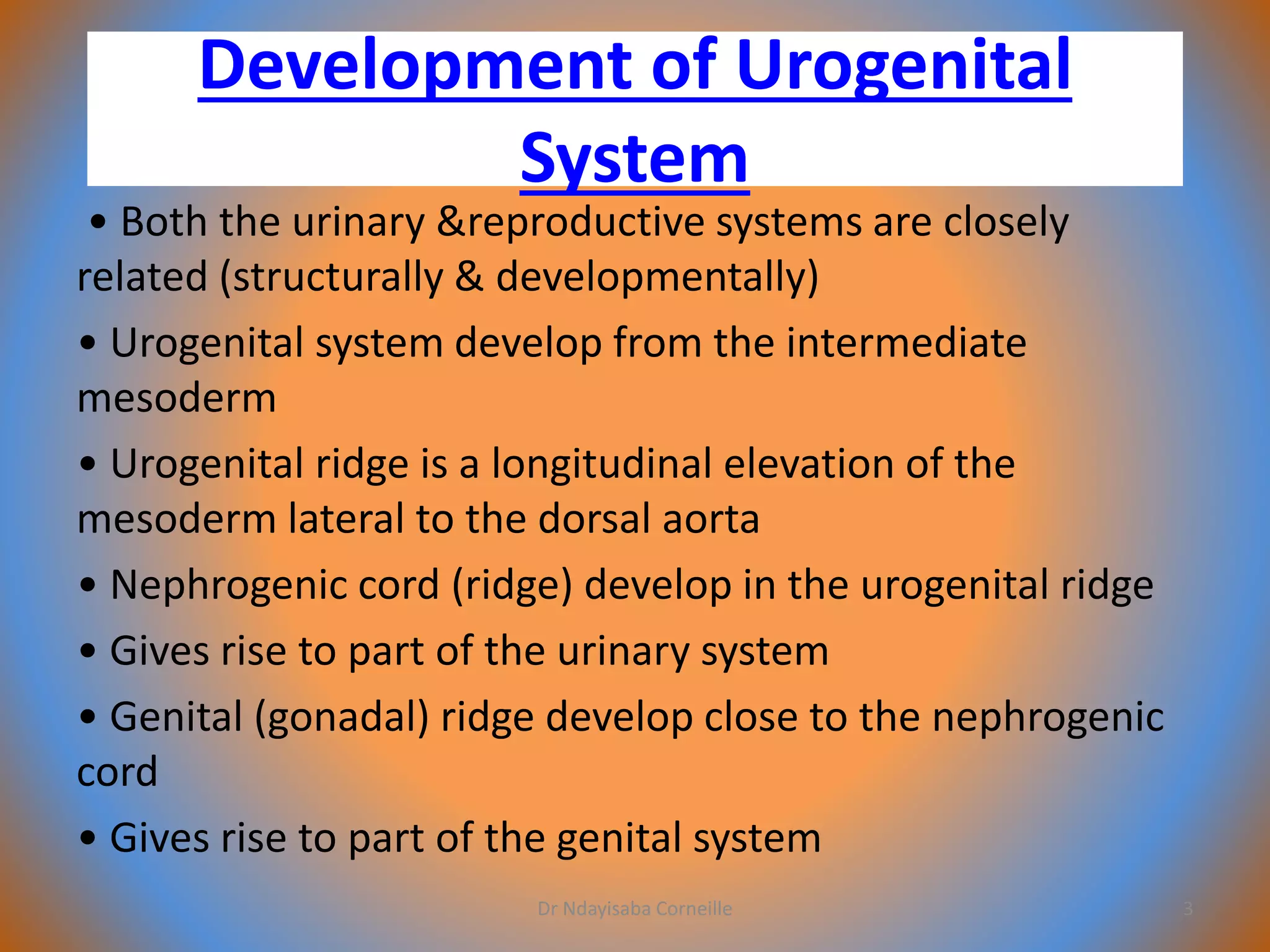 Reproductive System Embryology.pptx