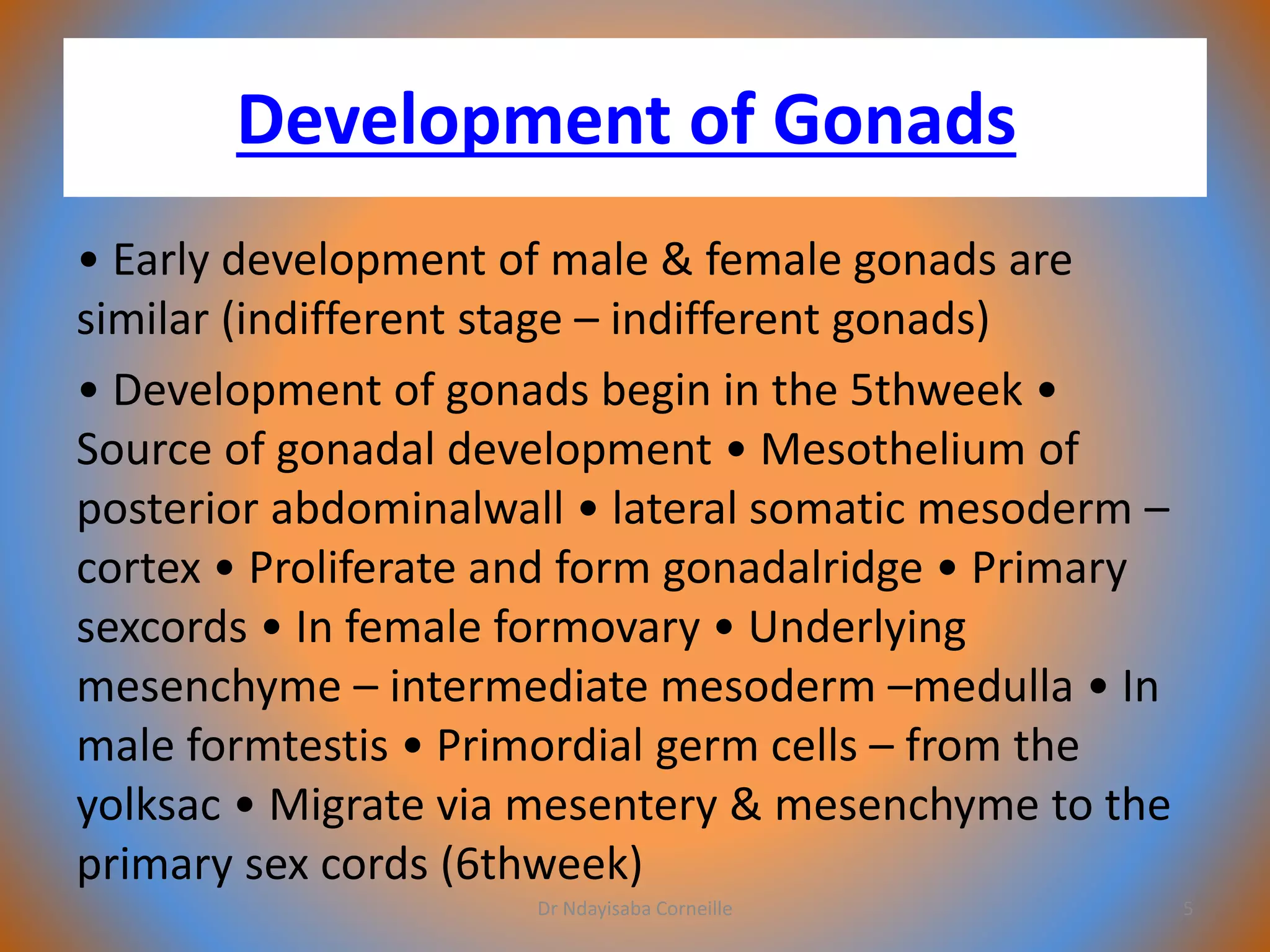 Reproductive System Embryology.pptx