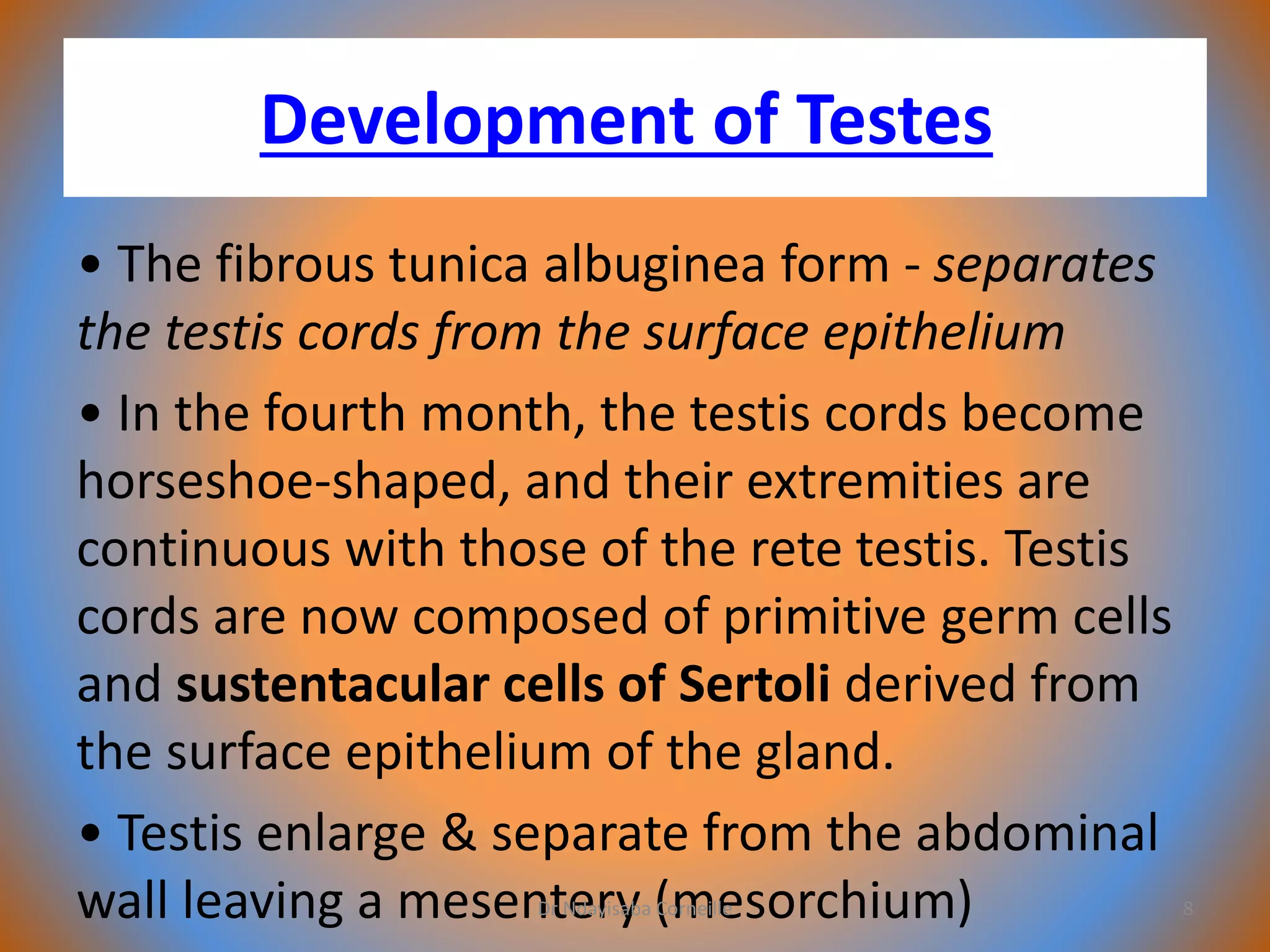 Reproductive System Embryology.pptx