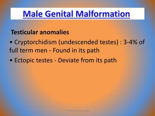 Reproductive System Embryology.pptx