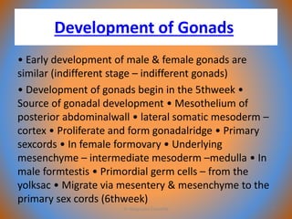 Reproductive System Embryology.pptx