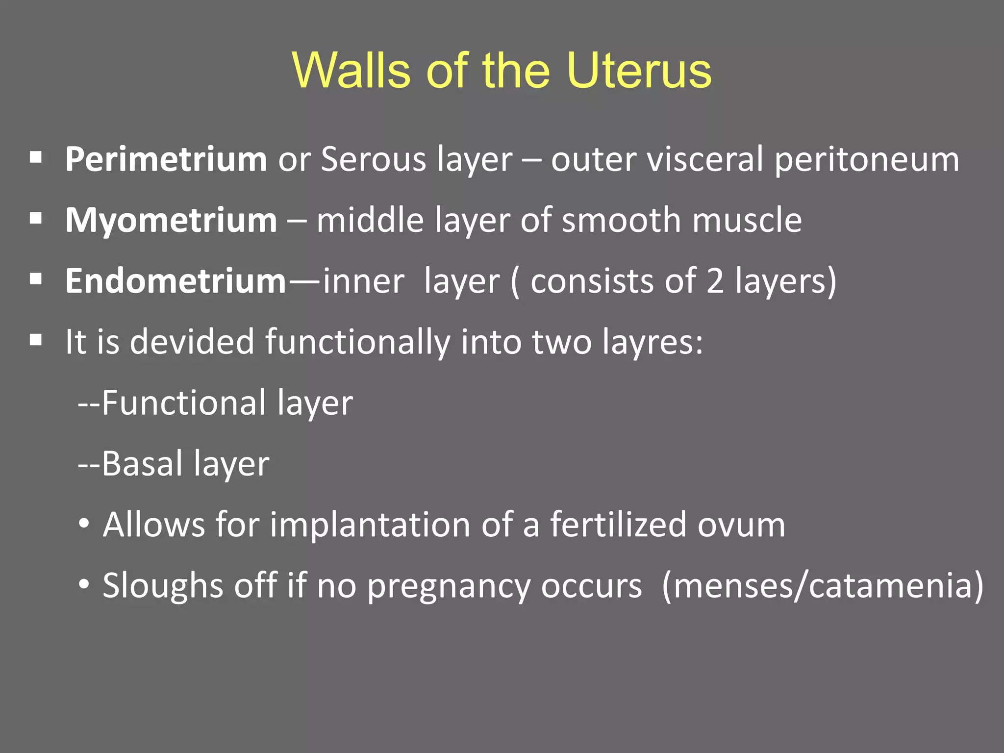 Reproductive System Female.ppt