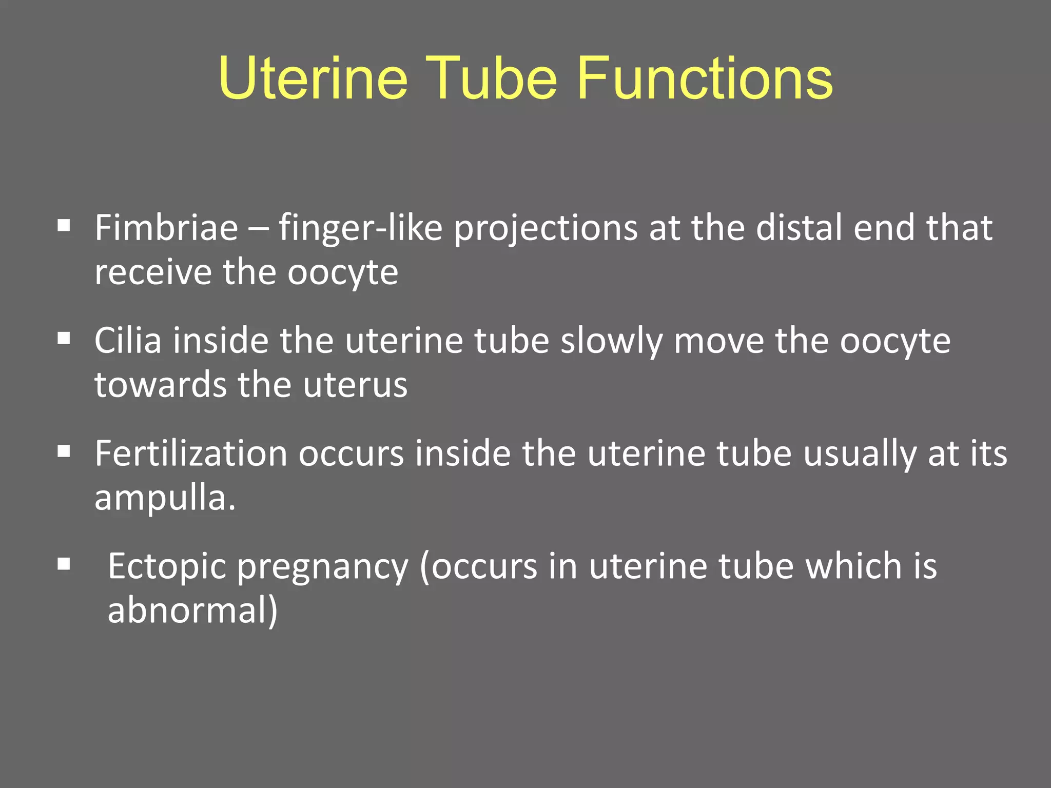 Reproductive System Female.ppt