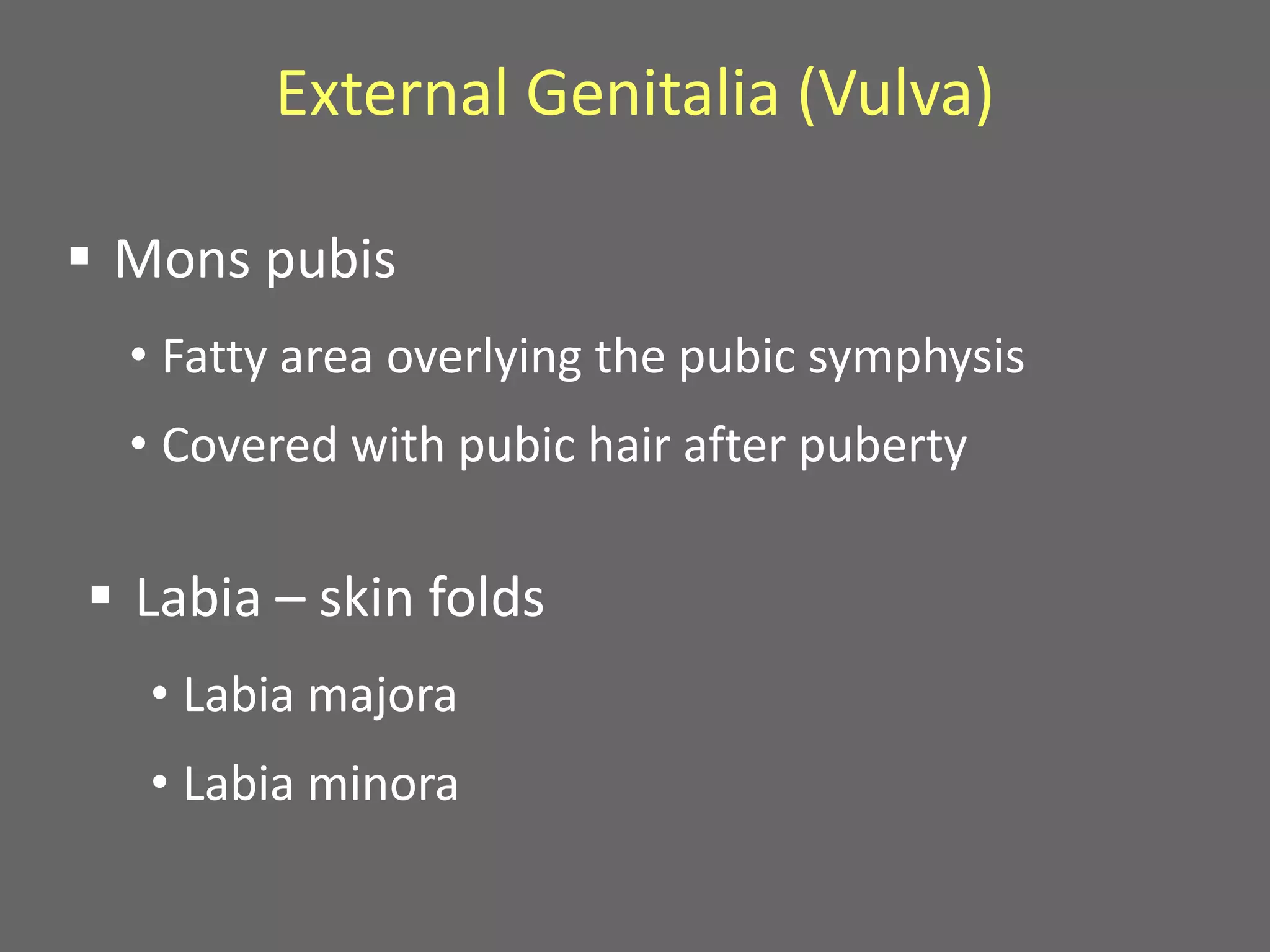 Reproductive System Female.ppt