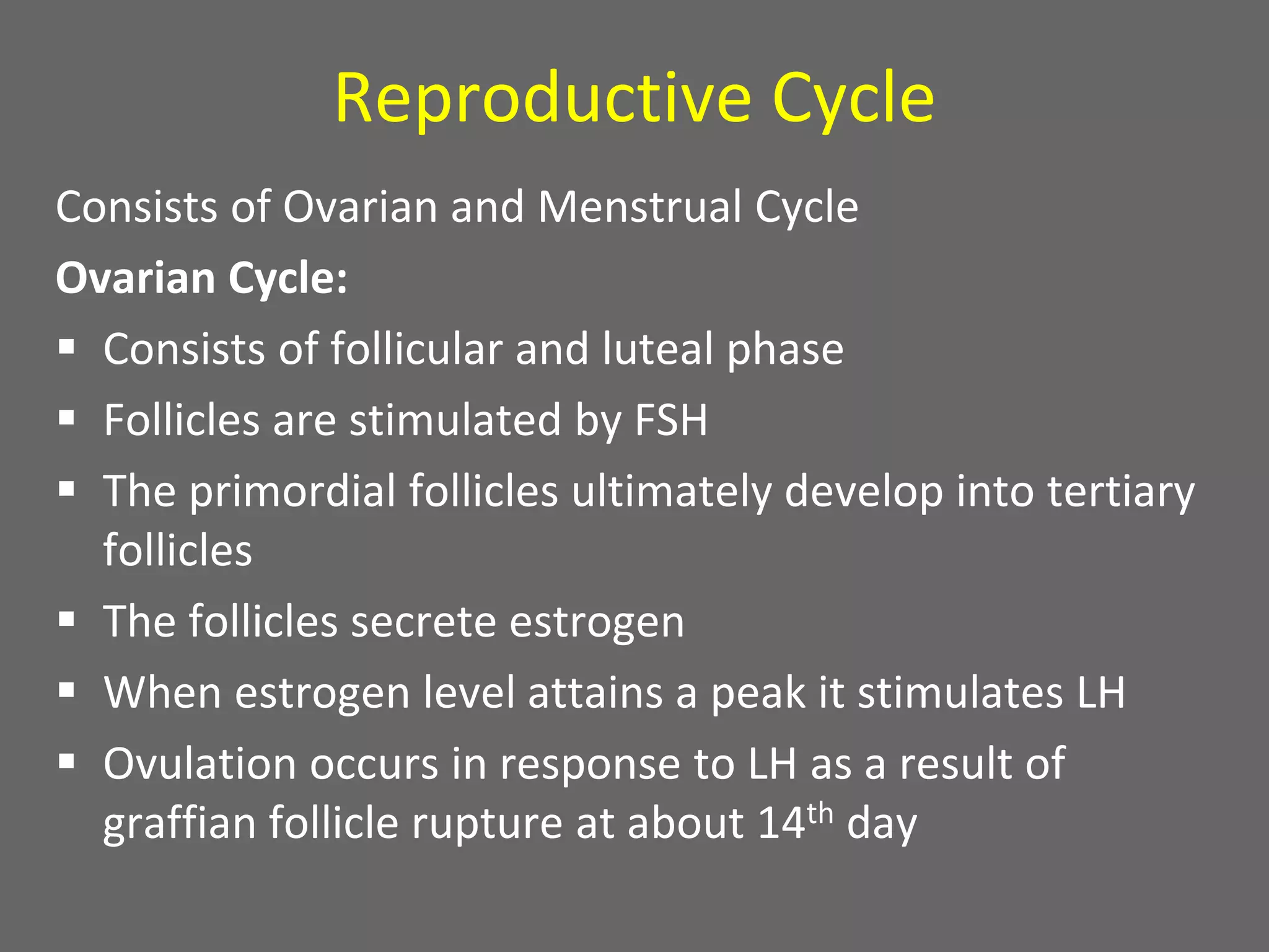 Reproductive System Female.ppt