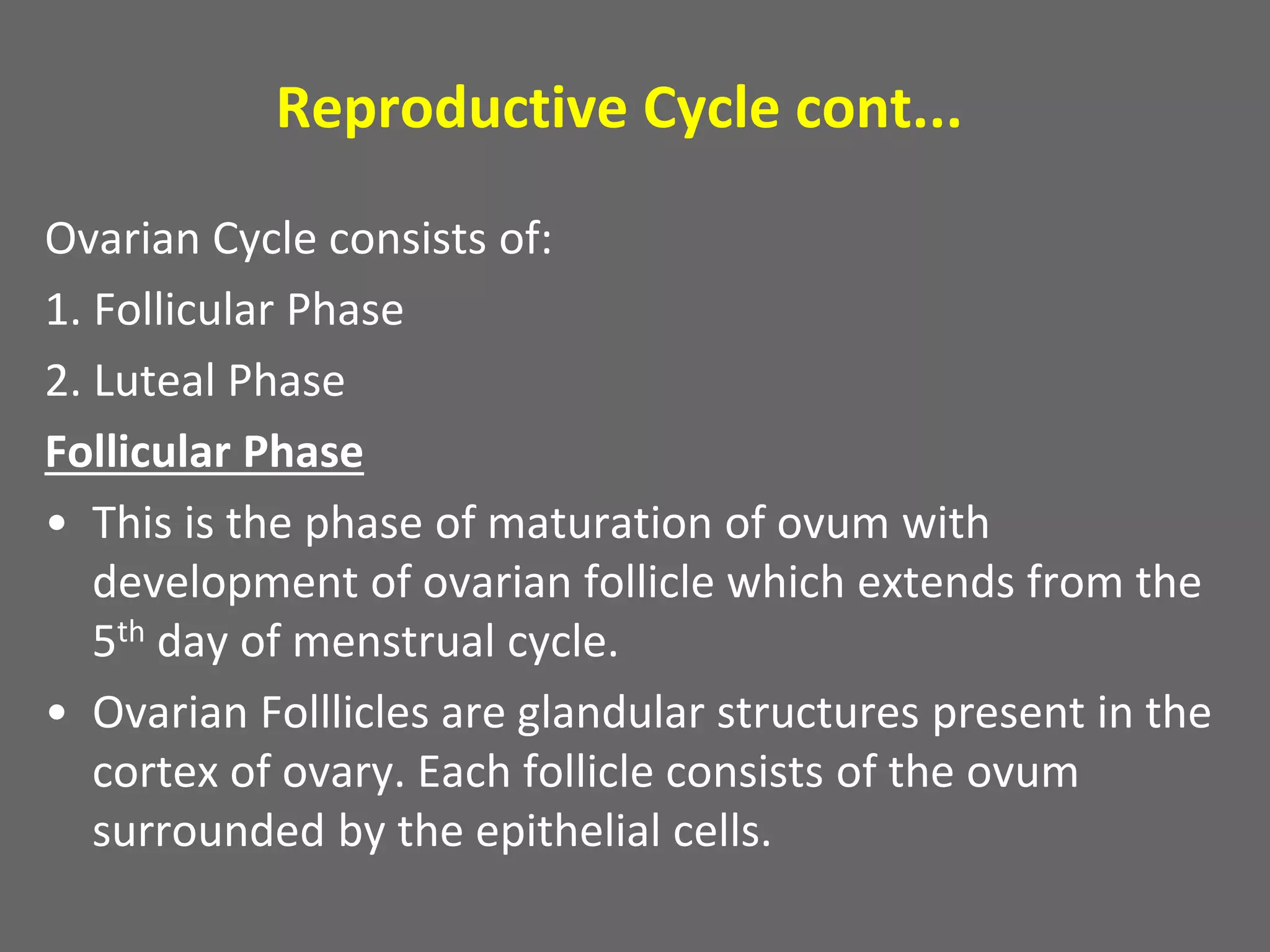 Reproductive System Female.ppt