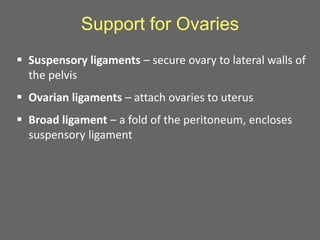 Reproductive System Female.ppt