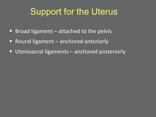 Reproductive System Female.ppt