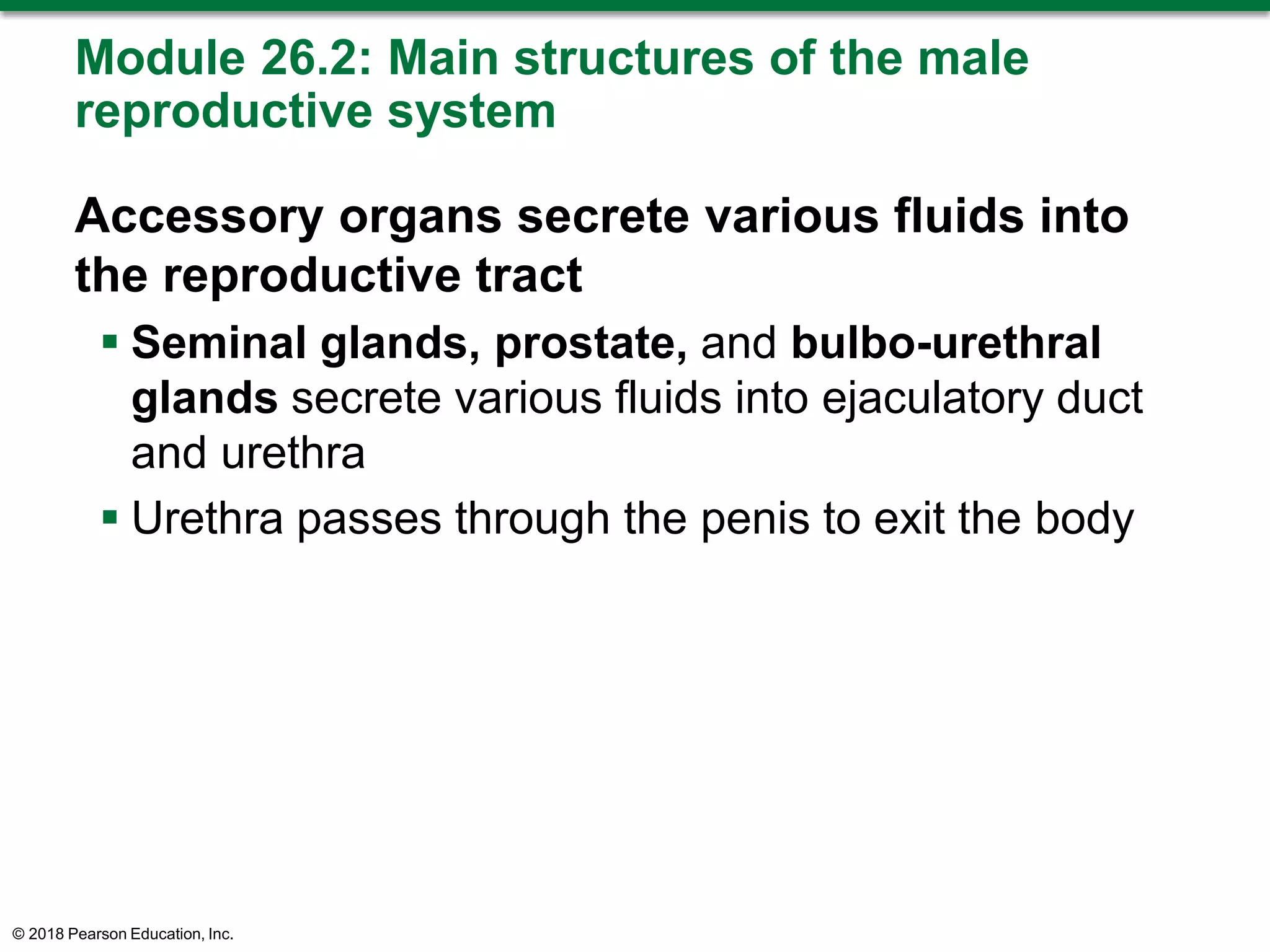 reproductive system_G10 science.pptx | Infertility | Reproductive Health