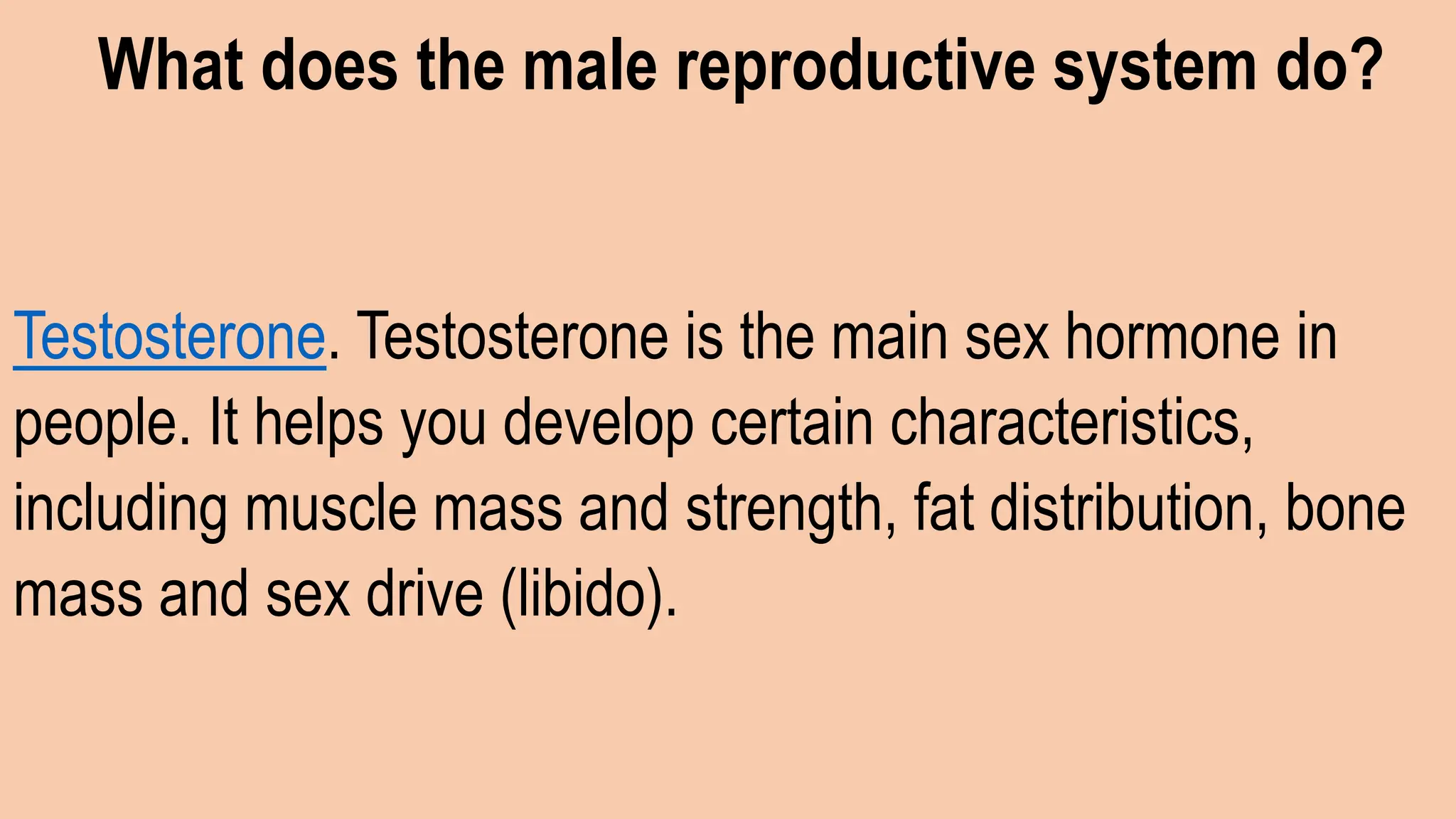 Reproductive System Grade 10.pptx WDASXAWEDQ | PPTX