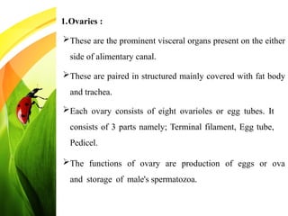 The Reproductive System of Insects: An Overview.pptx