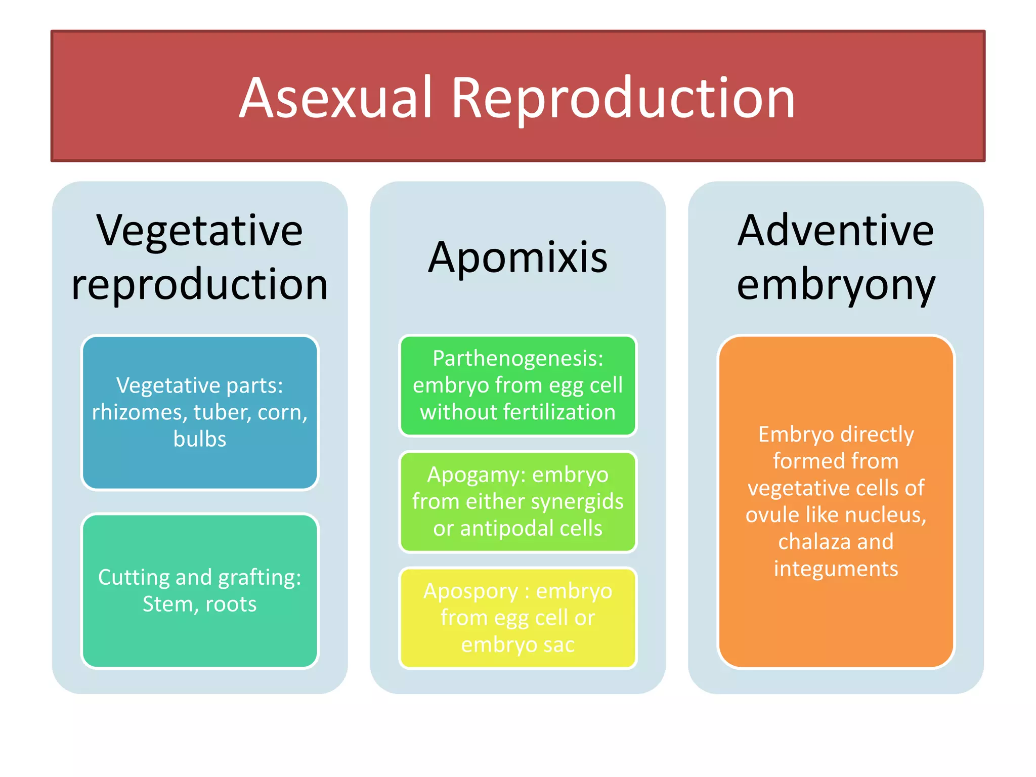 Reproductive system in plants | PPTX