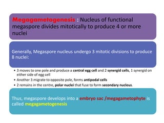Reproductive system in plants | PPTX