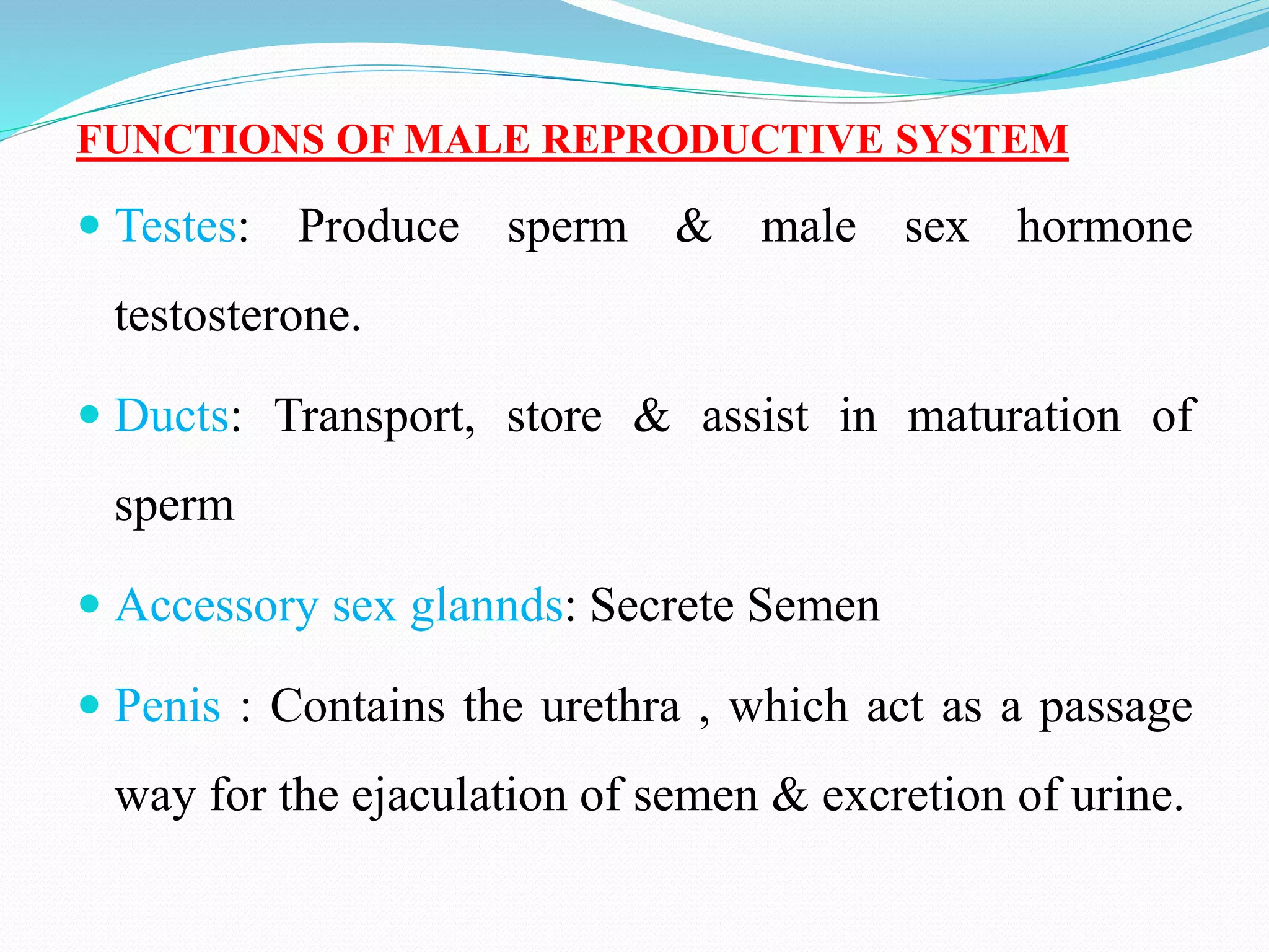Reproductive system intro Part 1 | PPTX