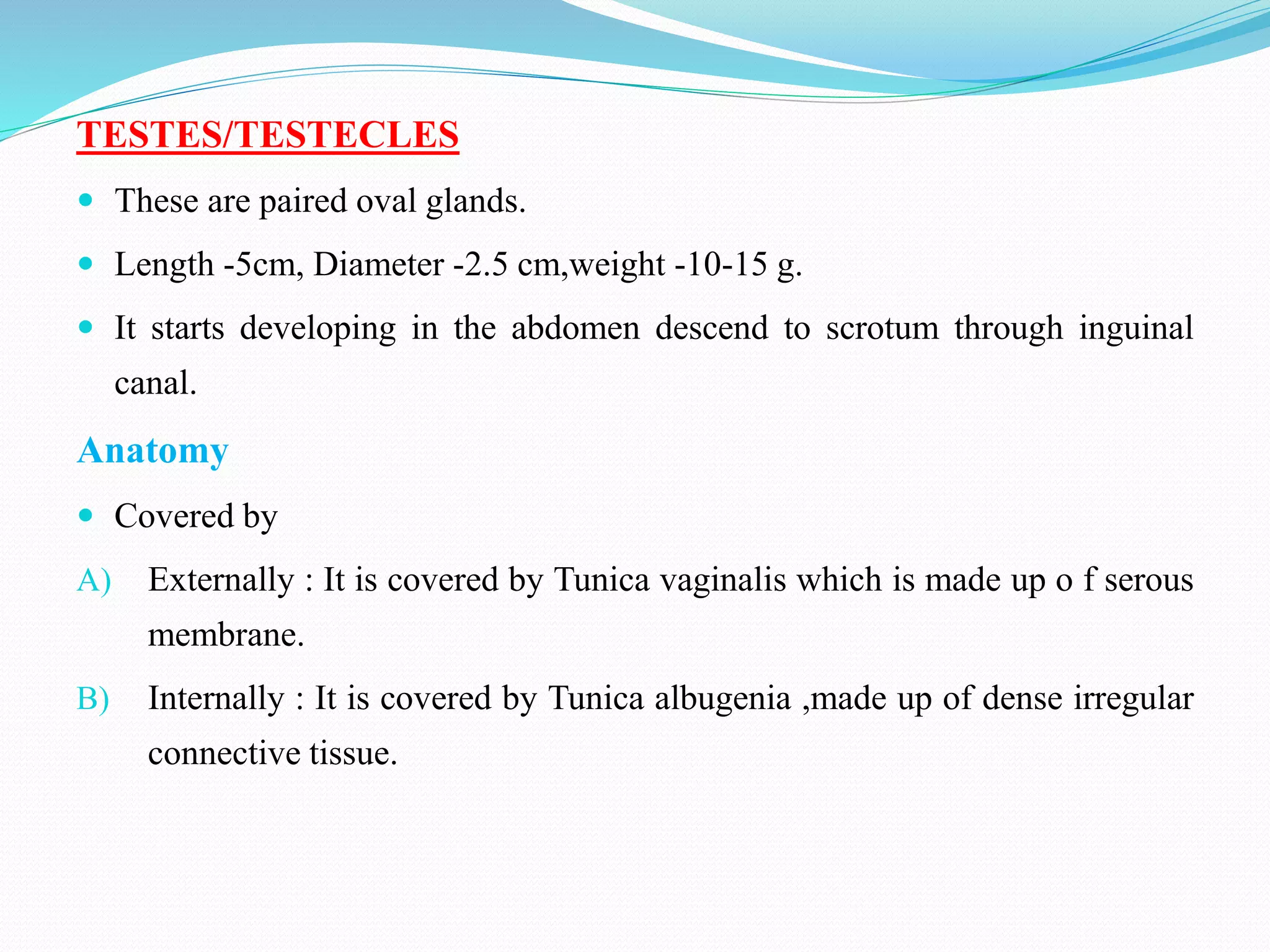 Reproductive system intro Part 1 | PPTX
