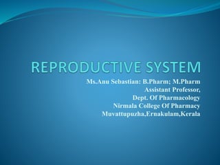 Reproductive system intro Part 1 | PPTX | Infertility | Reproductive Health