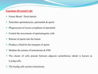 Reproductive system intro Part 1 | PPTX