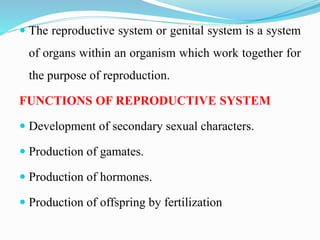 Reproductive system intro Part 1 | PPTX | Infertility | Reproductive Health
