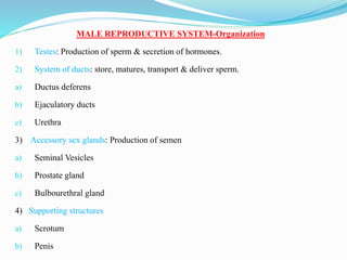 Reproductive system intro Part 1 | PPTX | Infertility | Reproductive Health
