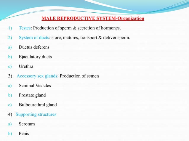Reproductive system intro Part 1 | PPTX | Infertility | Reproductive Health